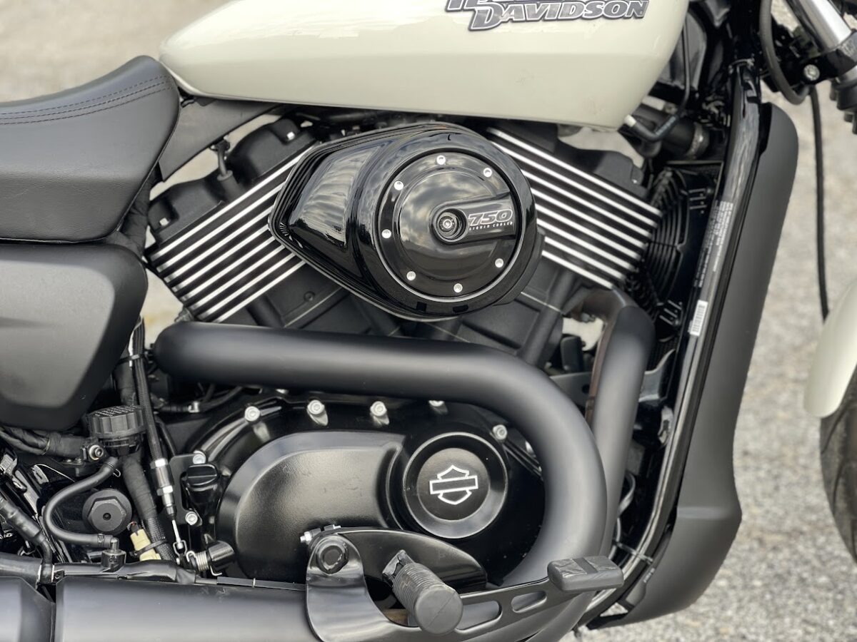 2019 Harley Davidson 750 Street - The Motorcycle Shop
